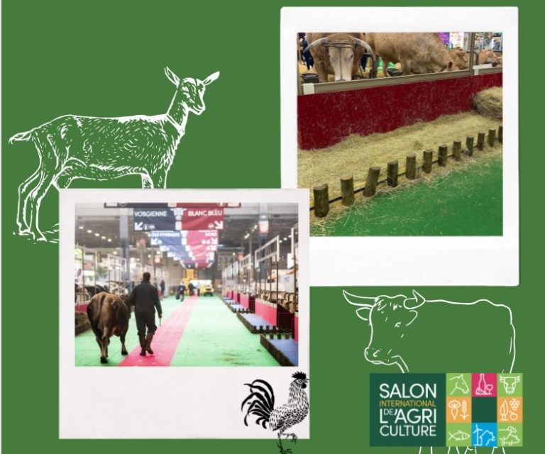 Sommer Event Flooring - Manufacturer of carpets and event tiles ... Sommer Event Flooring - Manufacturer of carpets and event tiles ...